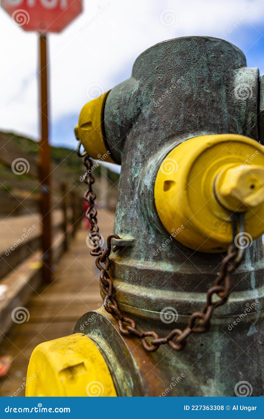 Green and Yellow Fire Hydrant Stock Photo - Image of yellow, hydrant ...