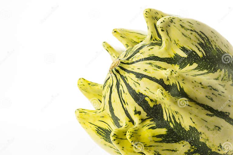 Green & Yellow Gourd stock photo. Image of plant - 35160362