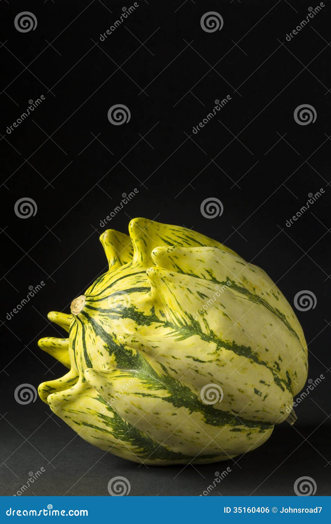 Green & Yellow Gourd stock photo. Image of yellow - 35160406