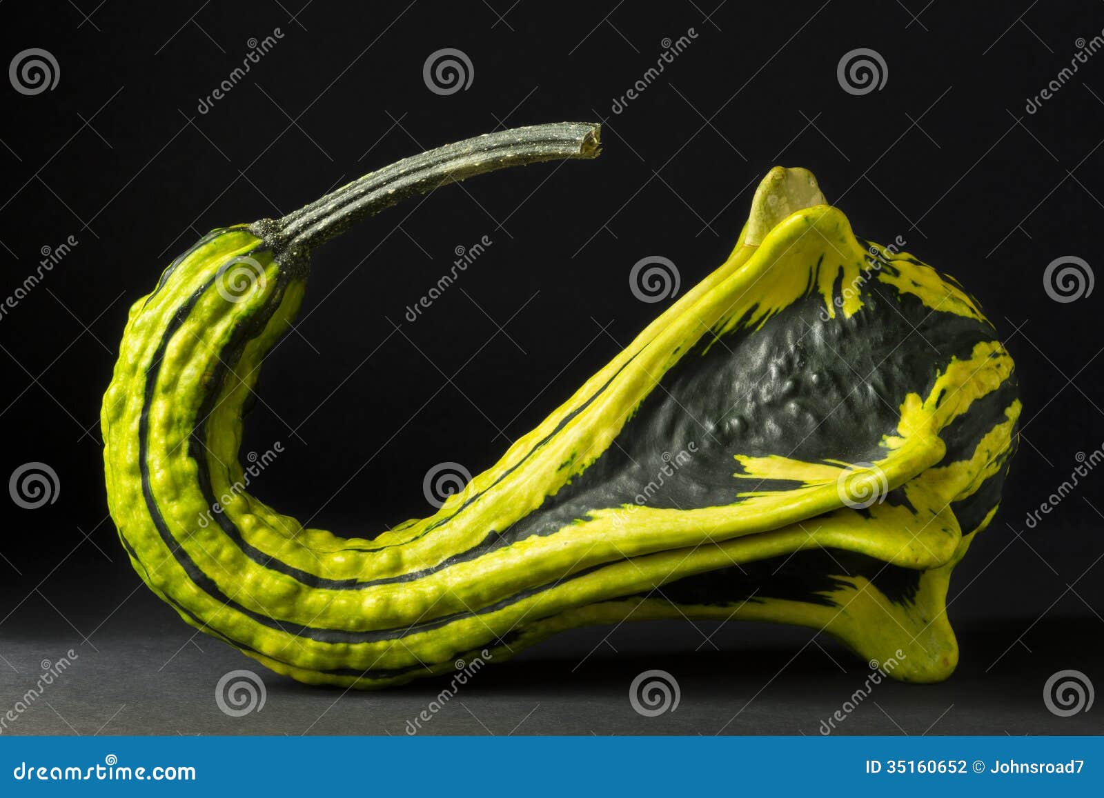 Green & Yellow Gourd stock photo. Image of yellow - 35160652