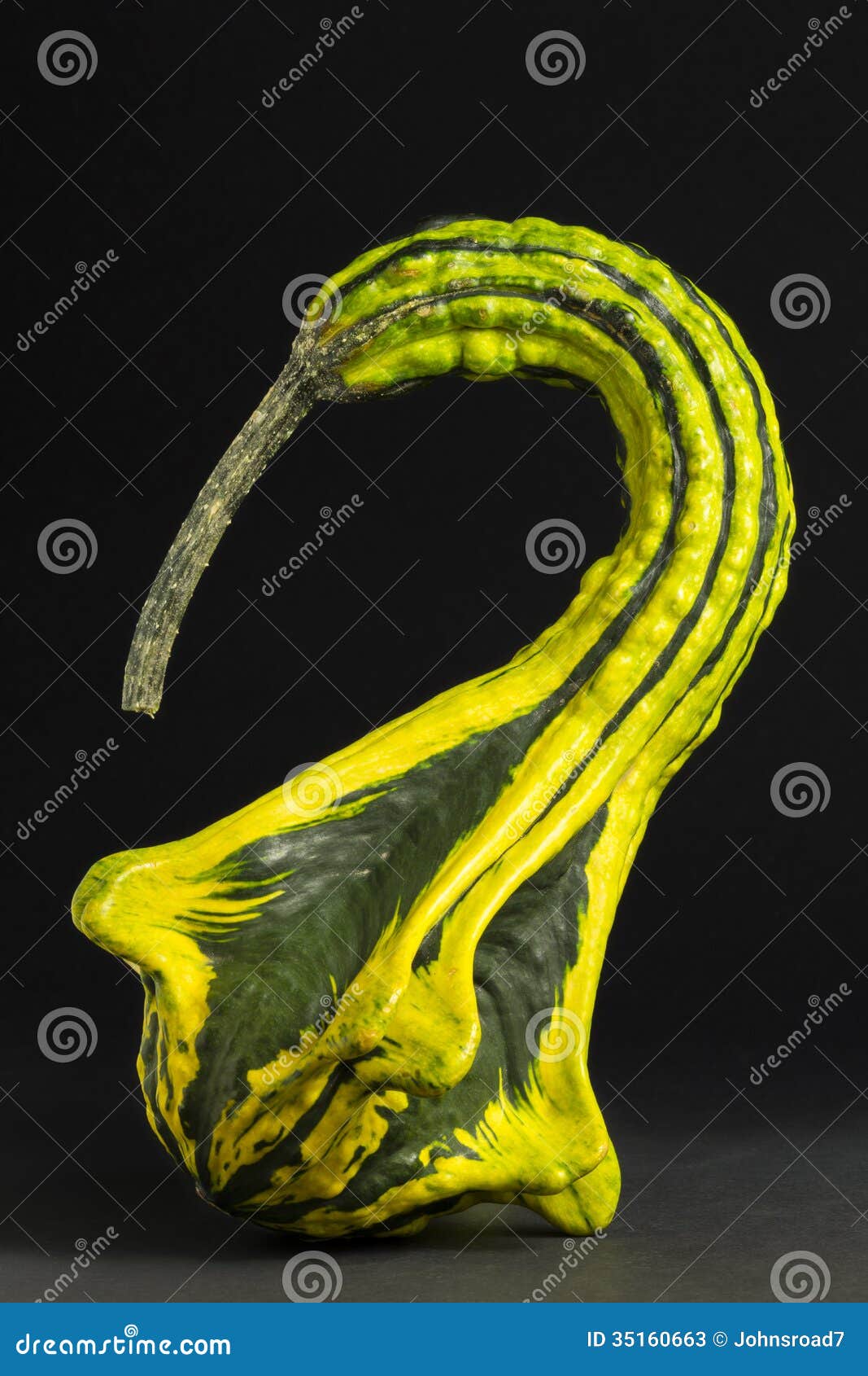 Green & Yellow Gourd stock image. Image of colorful - 35160663