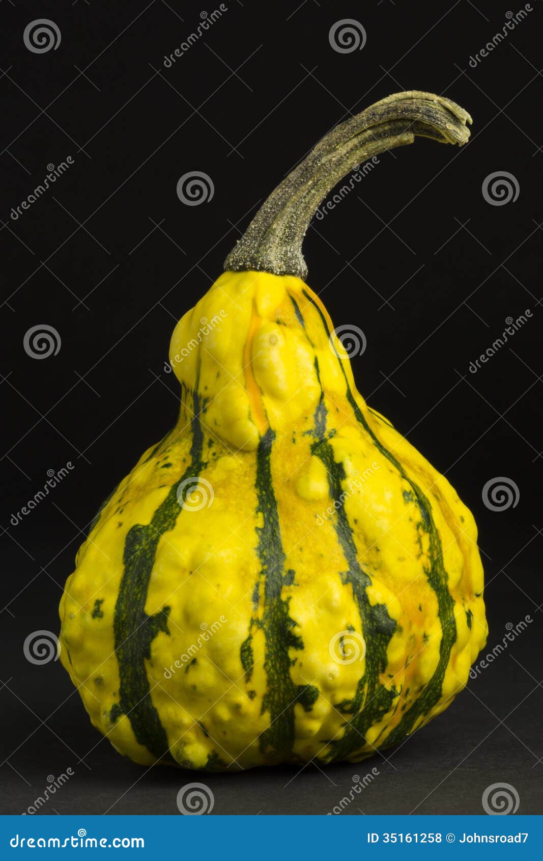 Green & Yellow Gourd stock photo. Image of squash - 35161258