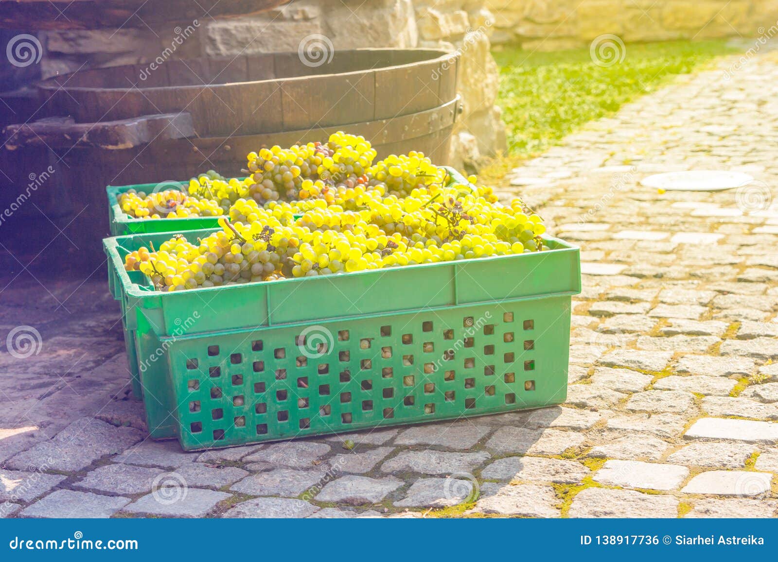 Green and Yellow Grape in a Box Stock Photo - Image of blue, high ...