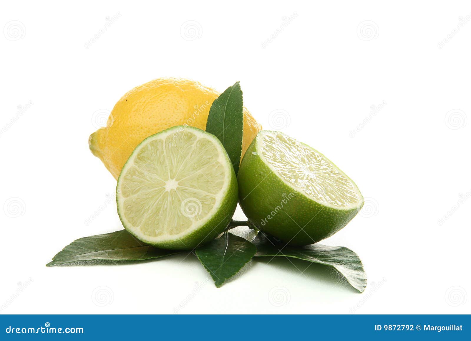 Green and yellow lemon stock photo. Image of leafs, diet - 9872792