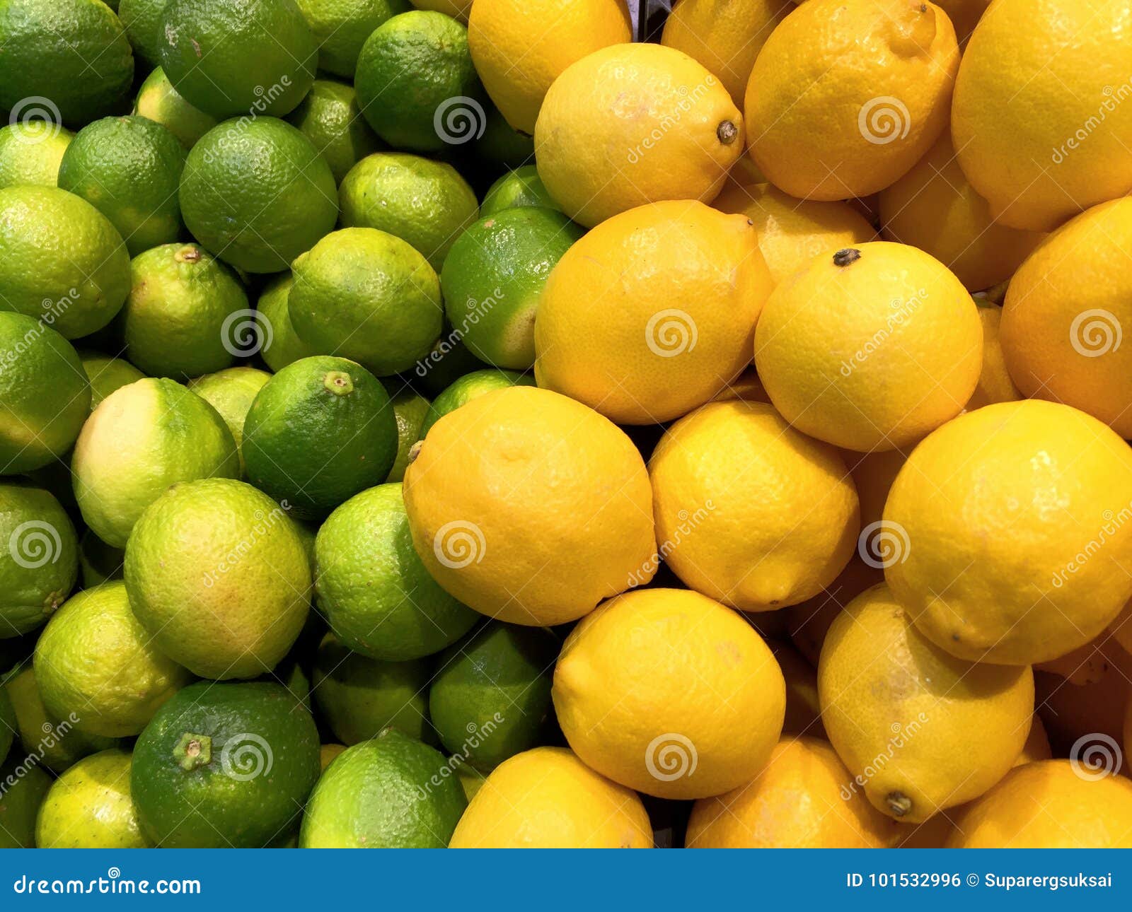 Green and Yellow Lemons stock photo. Image of food, color - 101532996