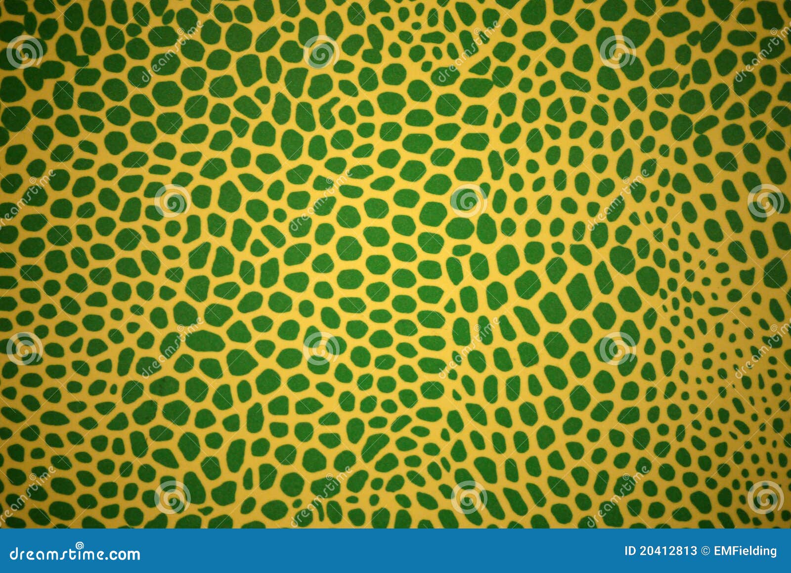 Green and Yellow Lizard Texture Stock Image - Image of background ...