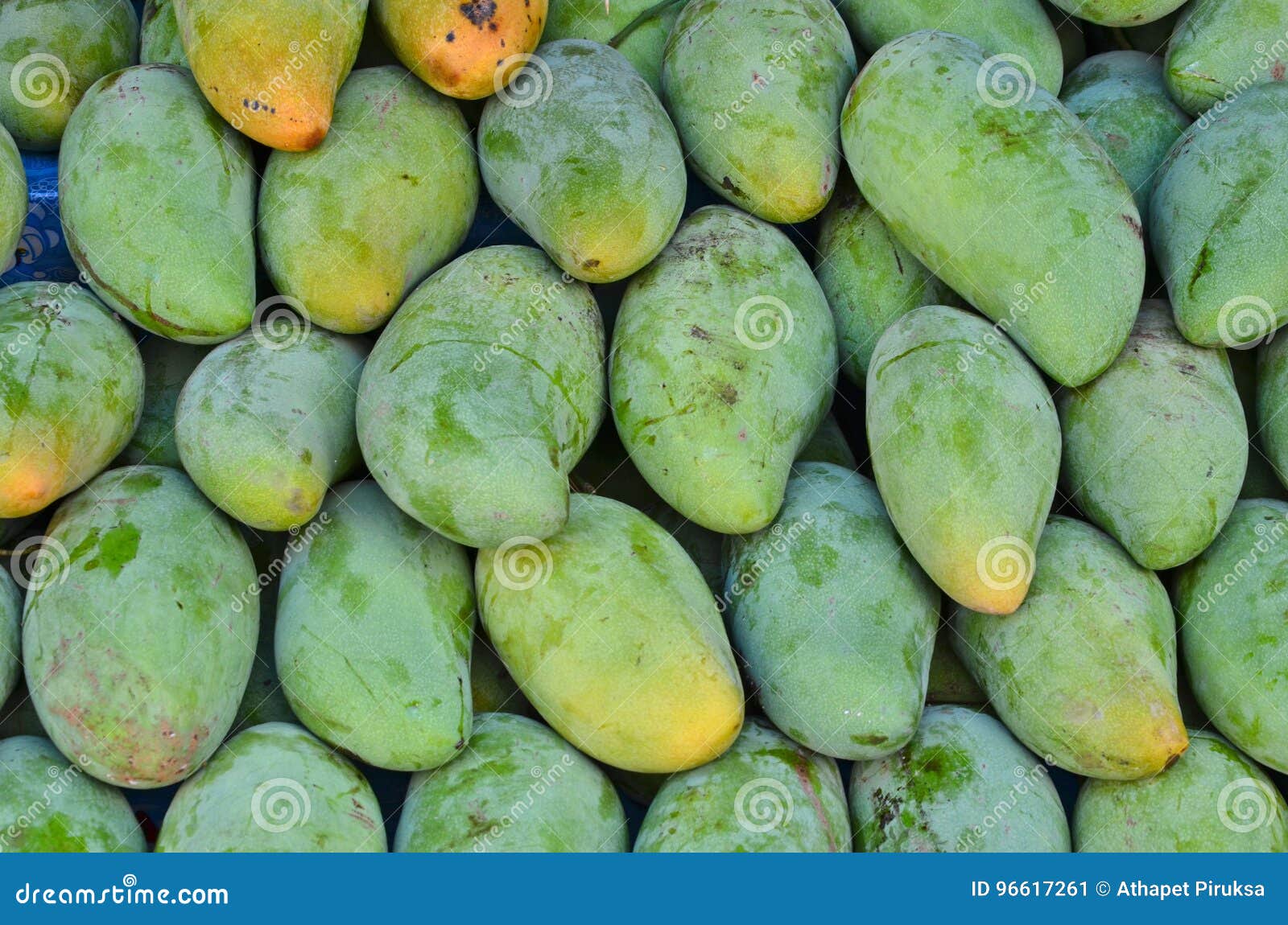 Green and Yellow Shells of Ripe Mangoes Stock Image - Image of skin ...