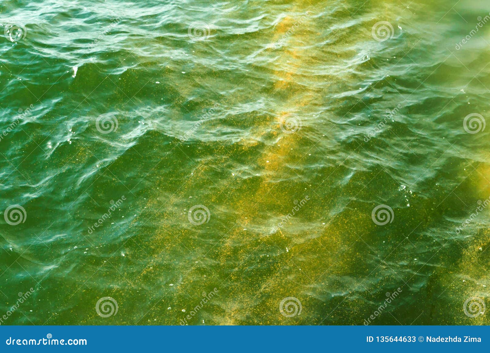 Green Yellow Water in Summer Stock Image - Image of landscape, natural ...