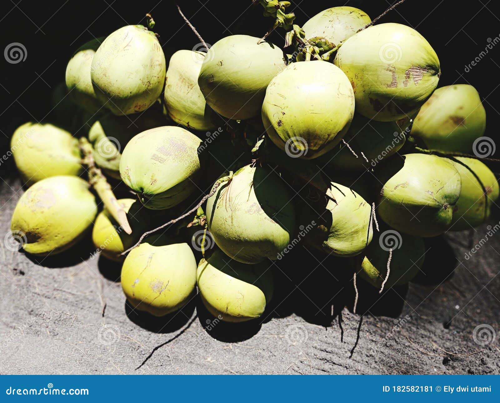 Green Young Coconuts Ready To Drink Stock Image - Image of young, drink ...