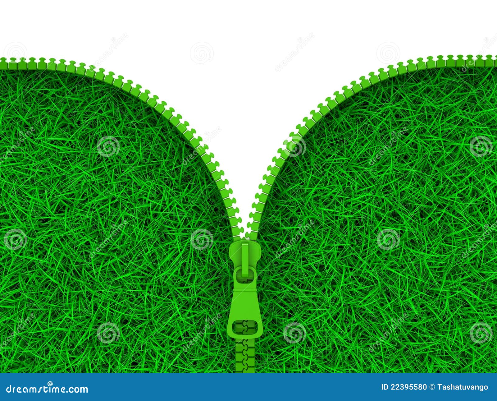 Green Zipper stock illustration. Illustration of open - 22395580