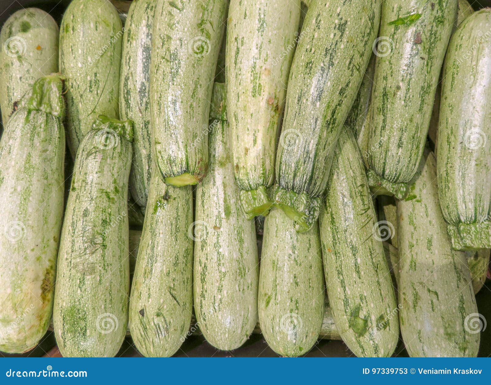 Green Zucchini Background stock image. Image of market - 97339753