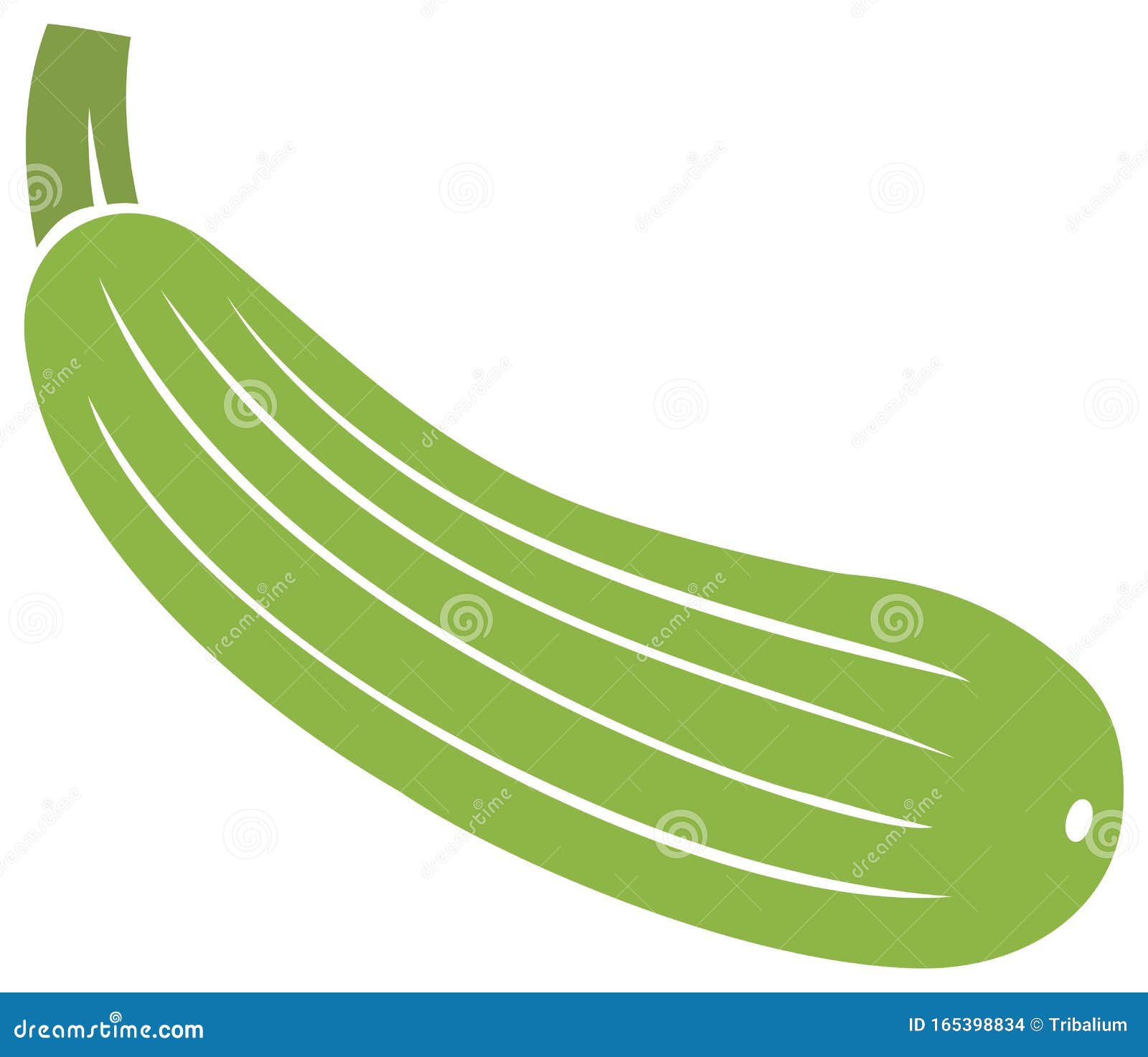 Green Zucchini Vegetable Vector Icon Stock Illustration - Illustration ...
