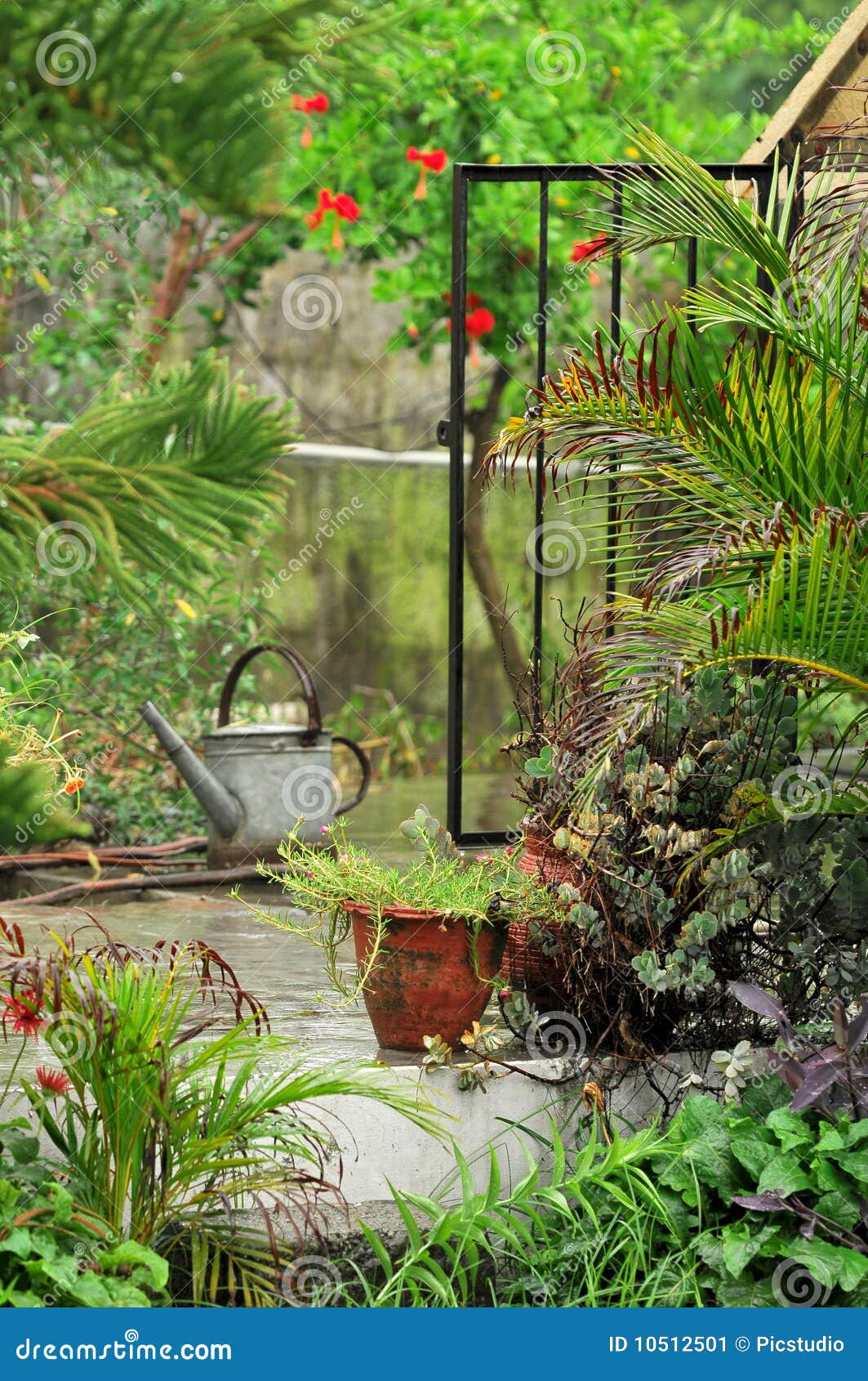 Greenery stock image. Image of green, nature, earthen - 10512501