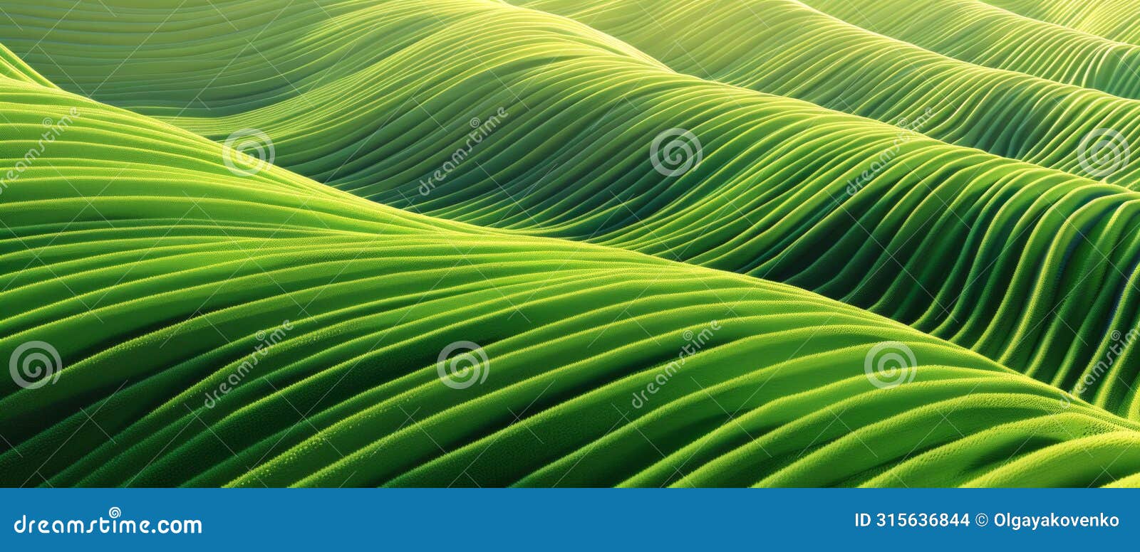 Greenery Abstract Background with Eco Waves Lines, View from Above, 3d ...
