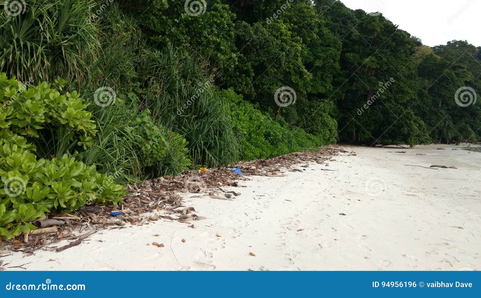 Greenery on Beach Nice View Stock Photo - Image of greenery, beautiful ...