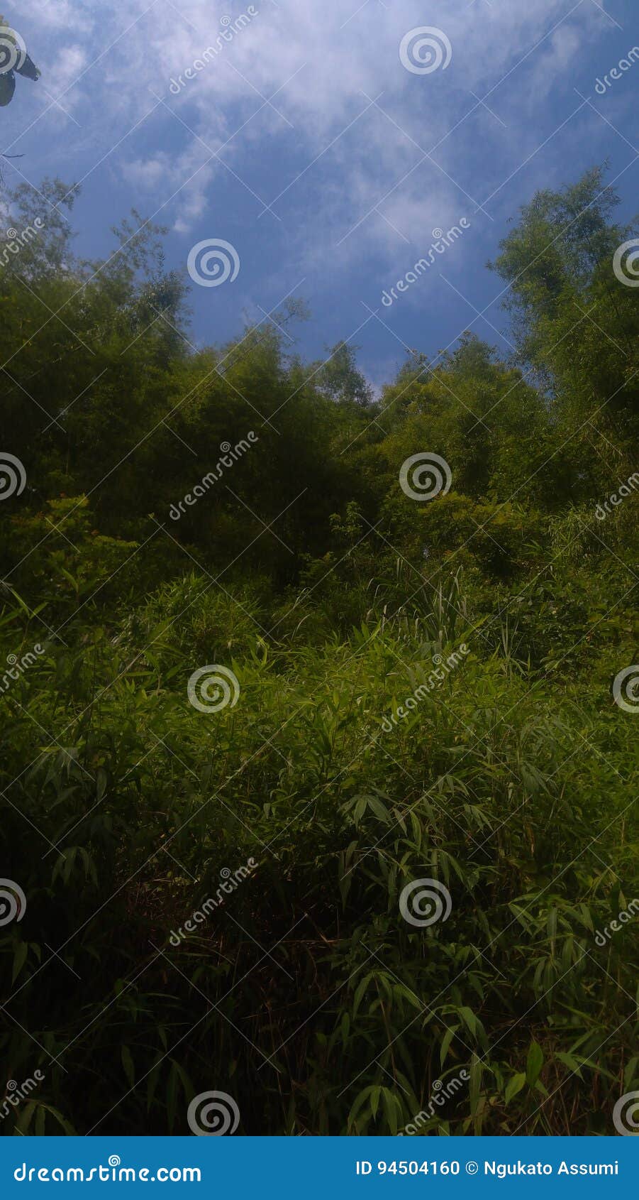 Greenery stock photo. Image of india, greenery, town - 94504160