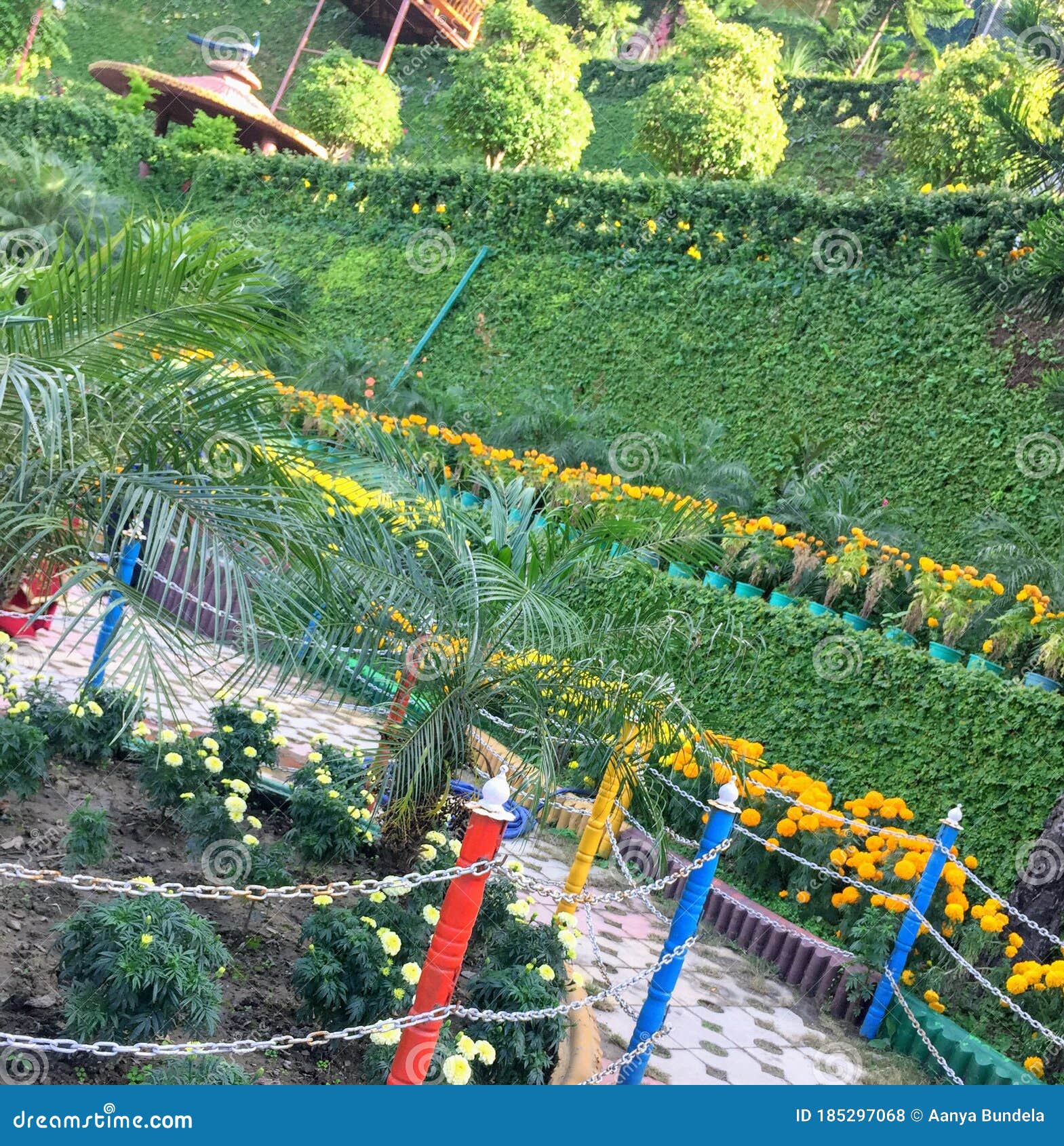 Greenery | Beauty of Nature | Above the Ground Level Stock Photo ...