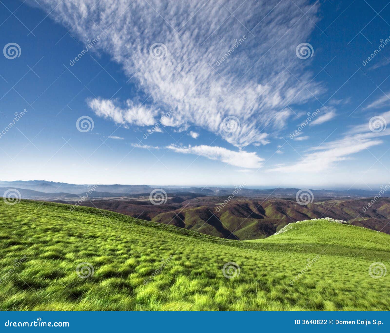 Greenery and blue sky stock photo. Image of winter, sunny - 3640822