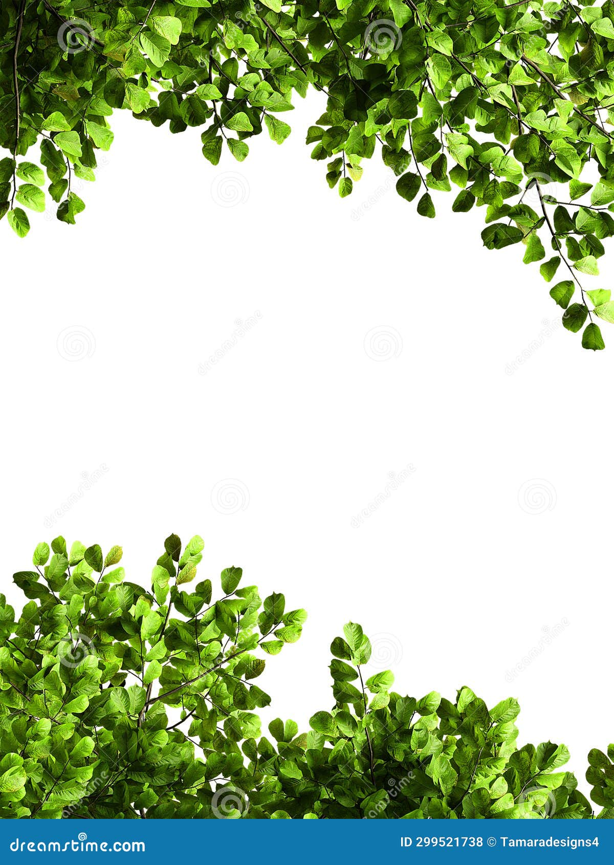Greenery Branches Leaves Frame Border Stock Photo - Image of color ...