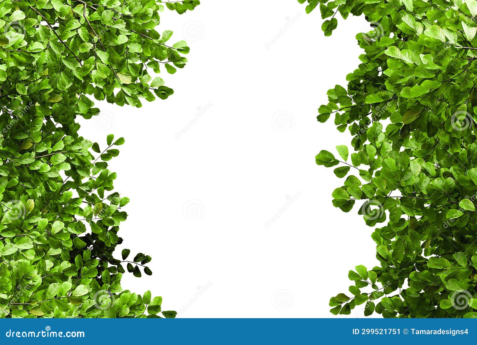 Greenery Branches Leaves Frame Border Stock Image - Image of corner ...
