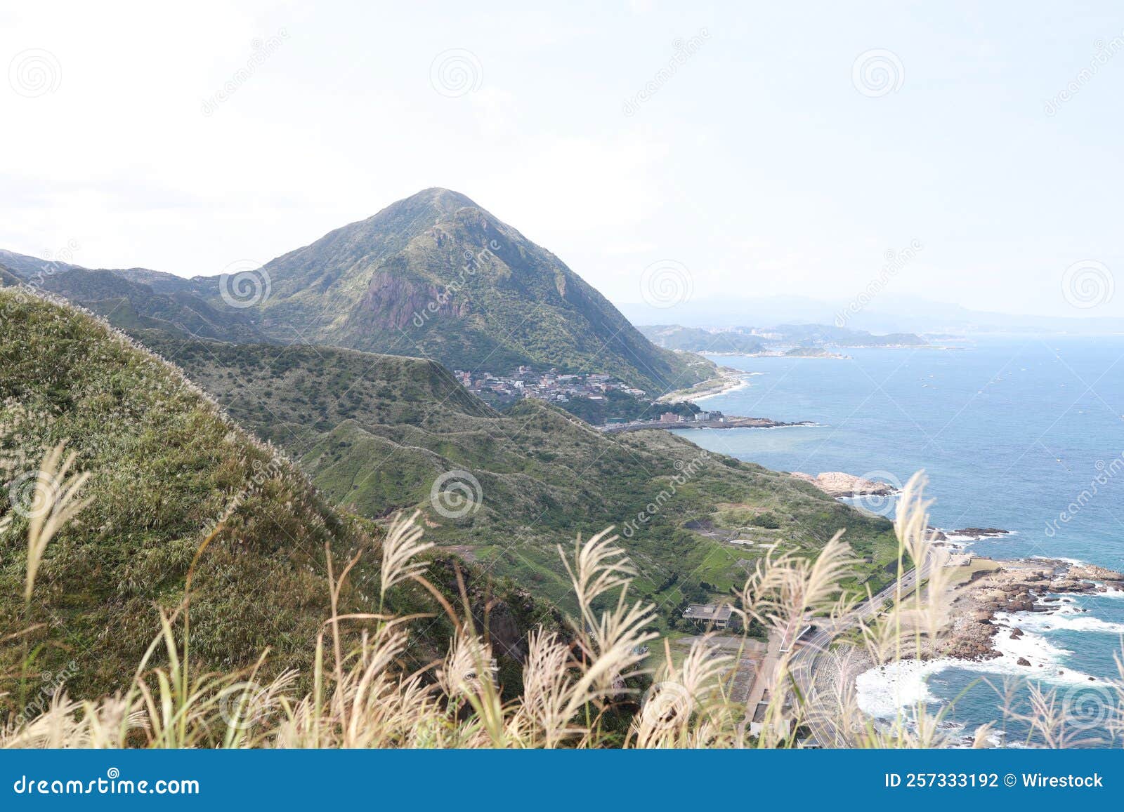Greenery Cliffs with Dry Plants by the Sea Stock Photo - Image of blue ...