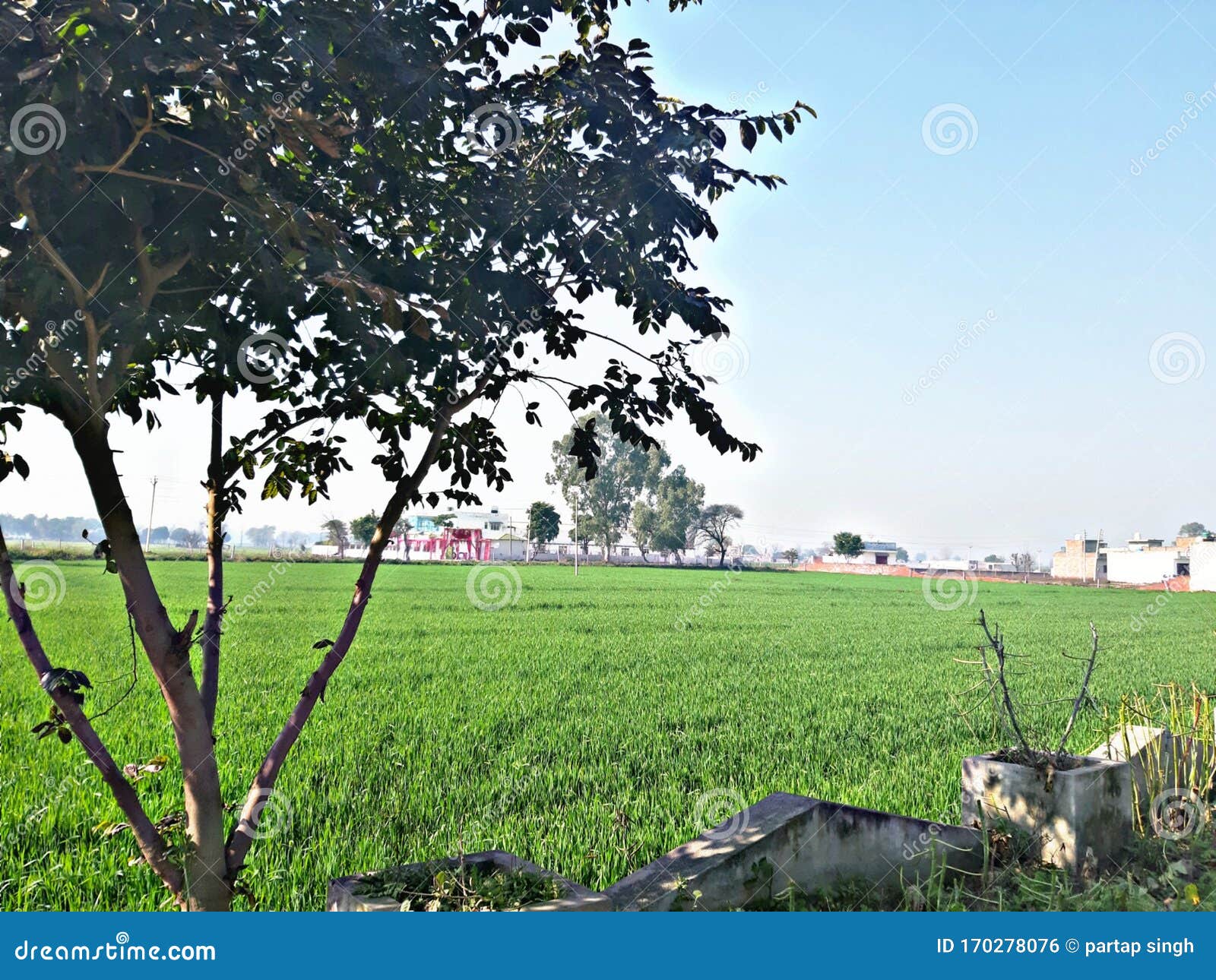 Greenery Farm Home Beauty Scenery Stock Photo - Image of farm, beauty ...
