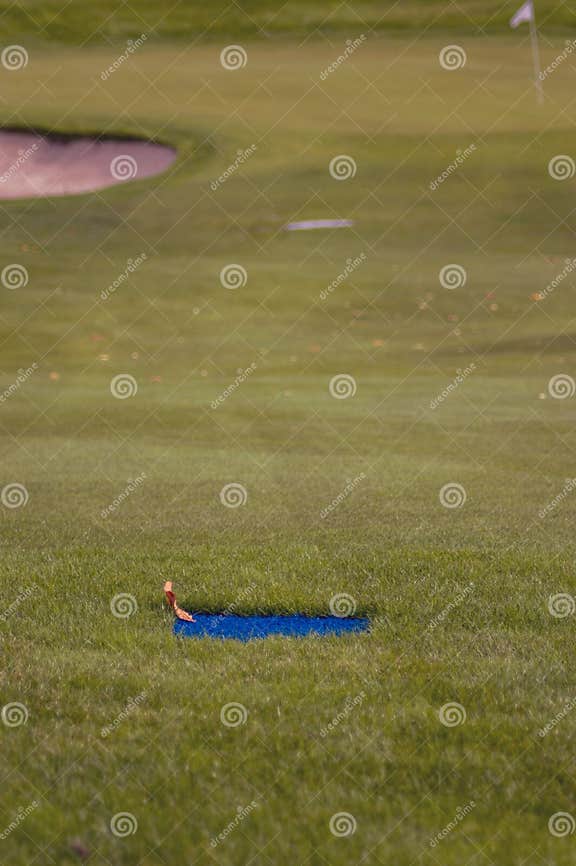 Greenery Field with Fallen Leaves Stock Image - Image of growth ...