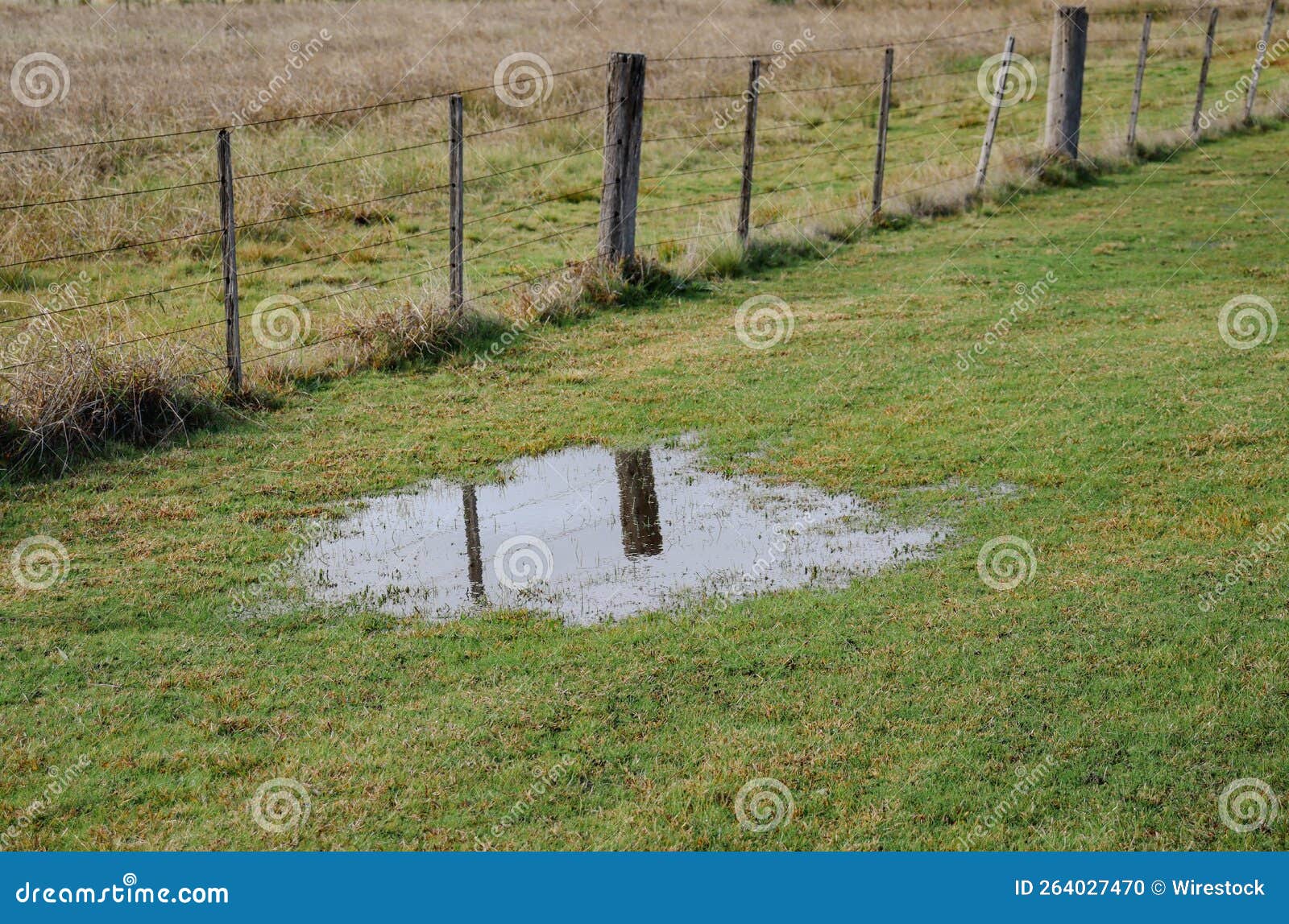 Greenery field with puddle stock photo. Image of tourism - 264027470