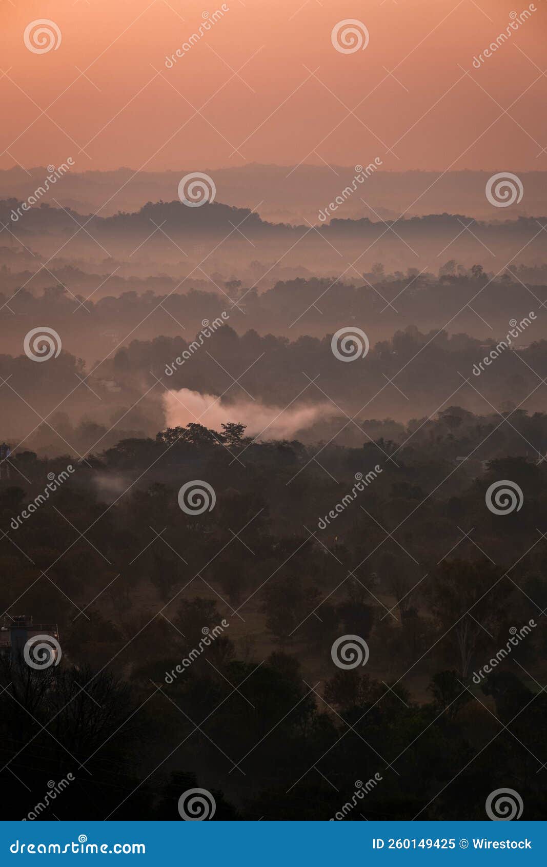 Greenery Field at Sunset in a Mist Stock Image - Image of background ...