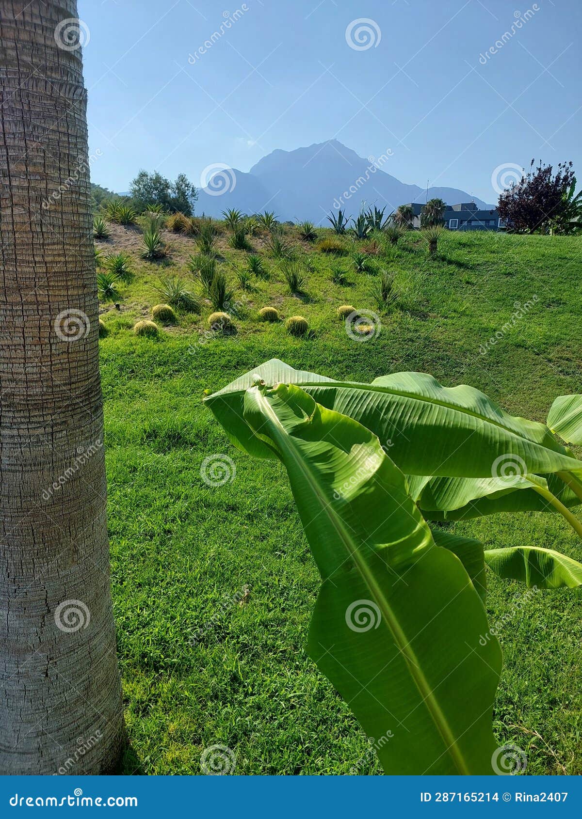 Greenery in Front of Mount Kemer, Turkey Stock Photo - Image of ...