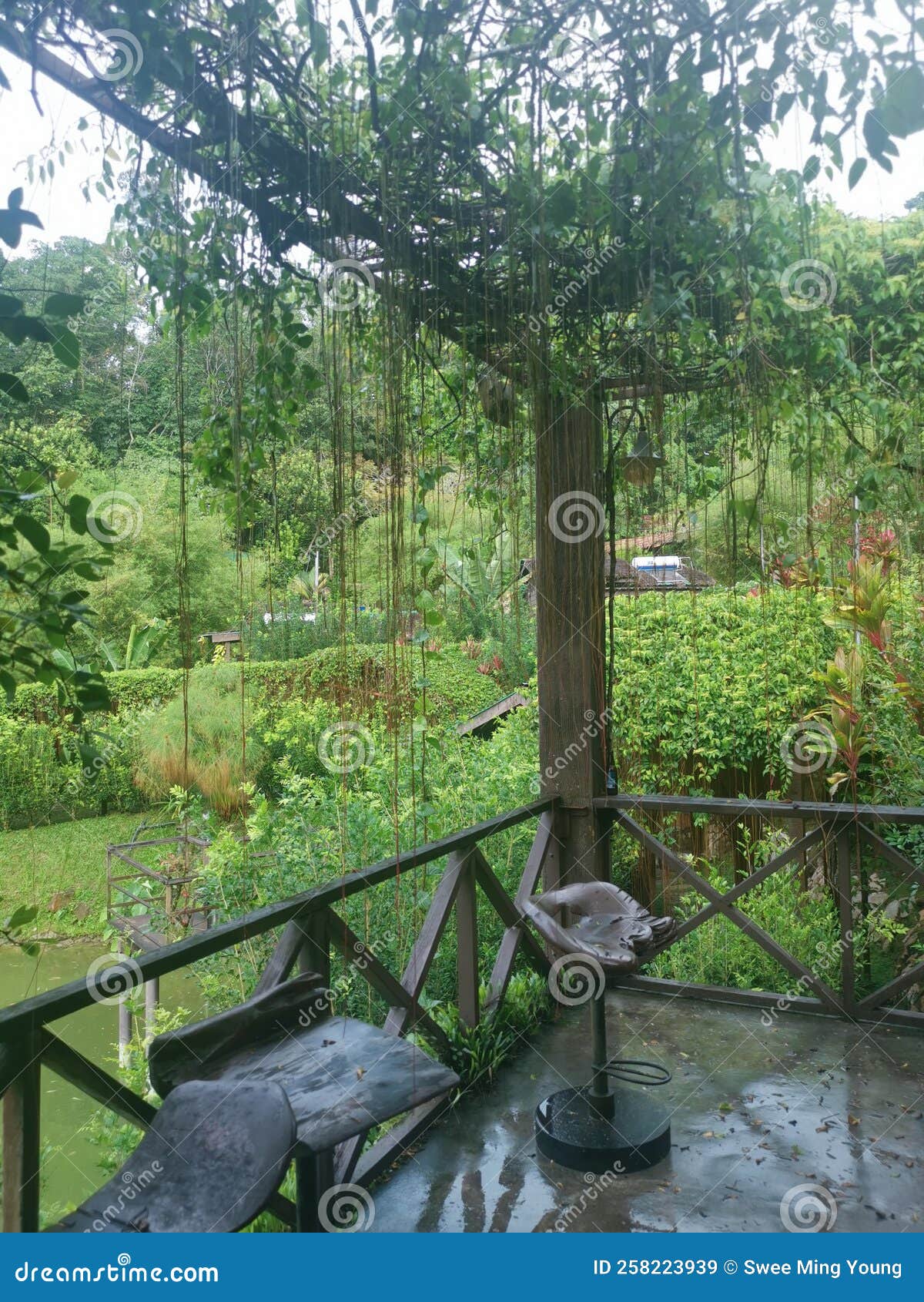 Greenery Garden Walk Path Way To the Park Stock Image - Image of ...
