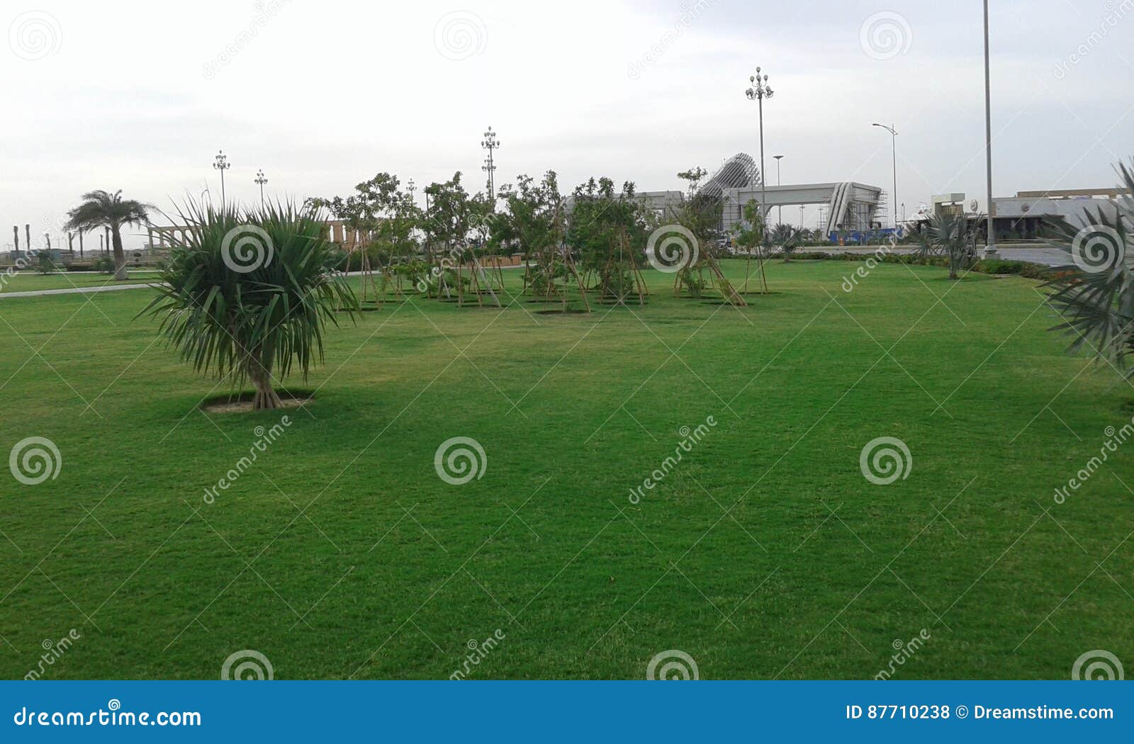 Greenery stock photo. Image of green, park, karachi, bharia - 87710238