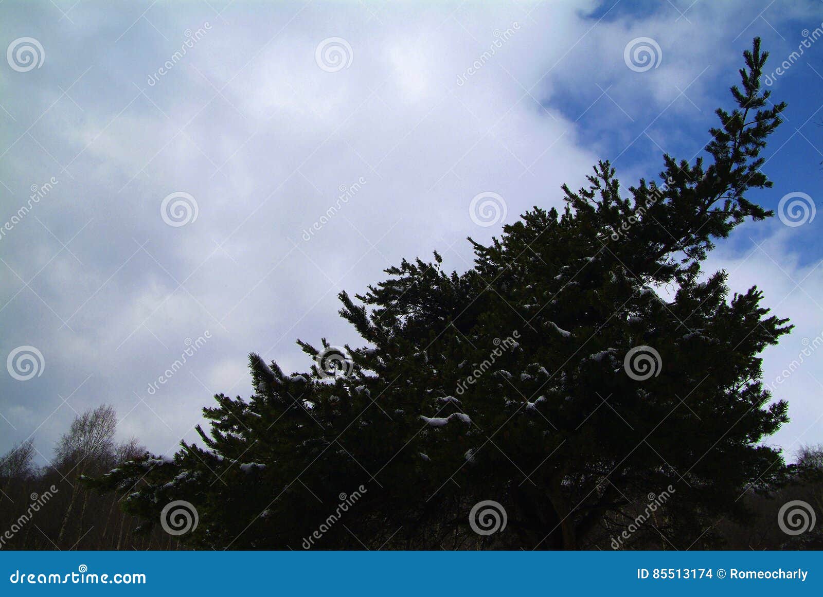 Greenery stock photo. Image of green, edges, mountain - 85513174