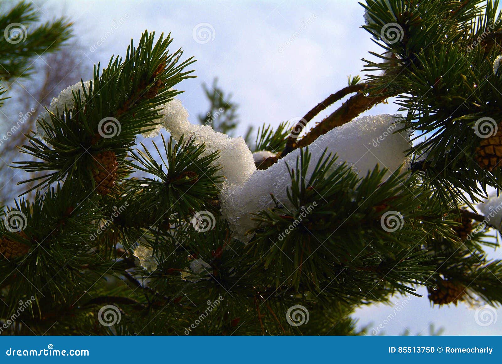 Greenery stock photo. Image of mountain, nature, dark - 85513750