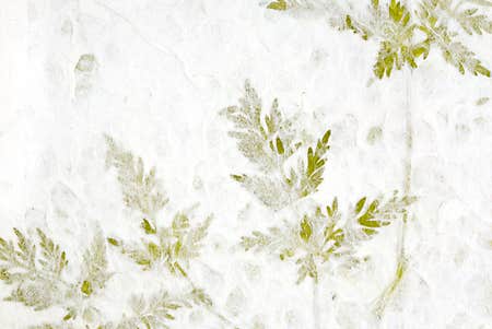 Greenery in Handmade Paper stock image. Image of botanical - 5278377