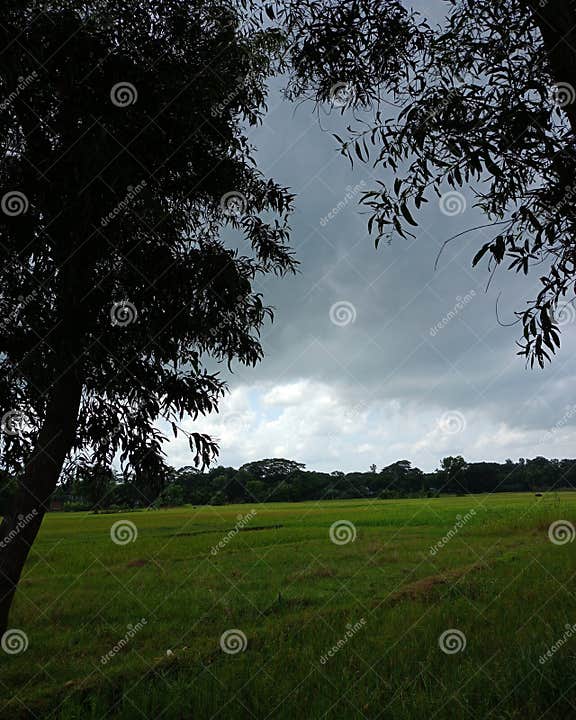 Greenery hometown Cloud stock image. Image of hometown - 282928773