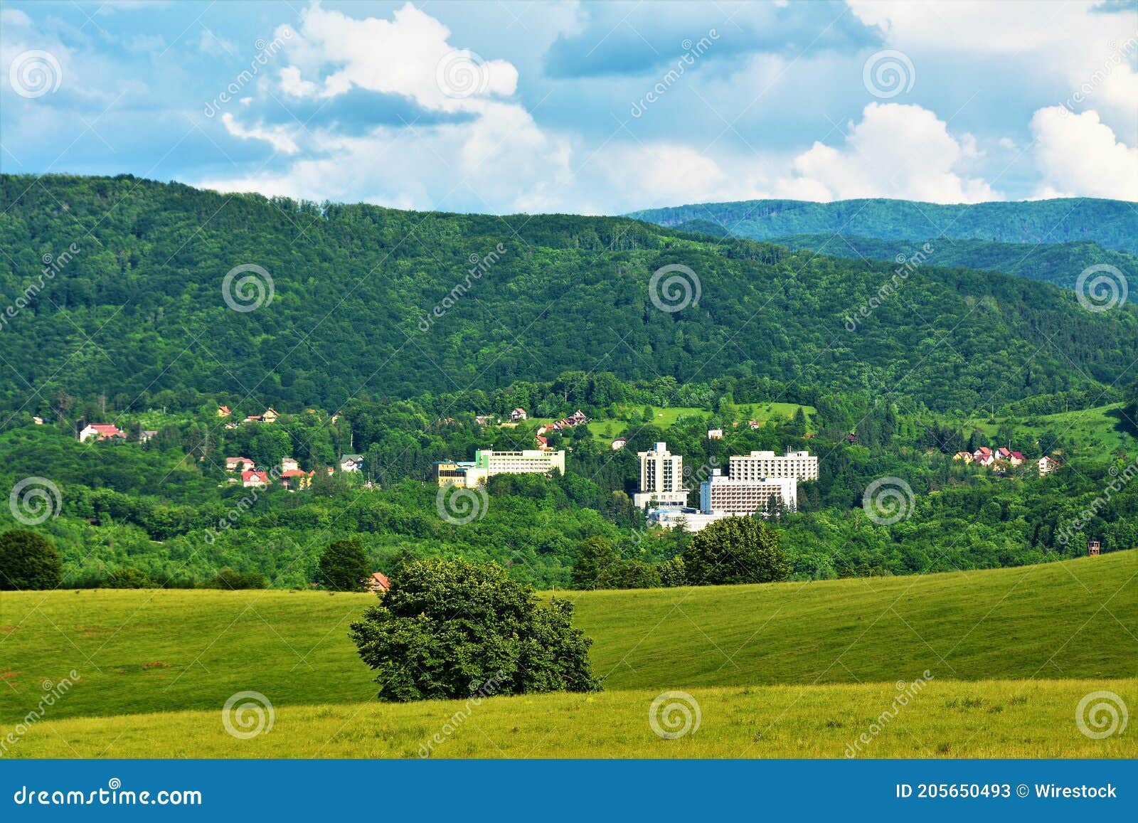 Greenery Landscape in the Fields of Romania on a Cloudy Day Background ...