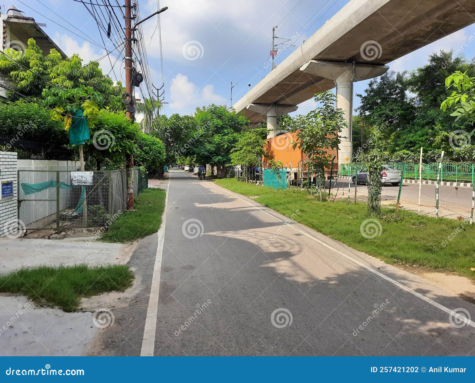 Greenery, Metro Track Bridge, Road, Electric Pole,wire Mesh Stock Photo ...