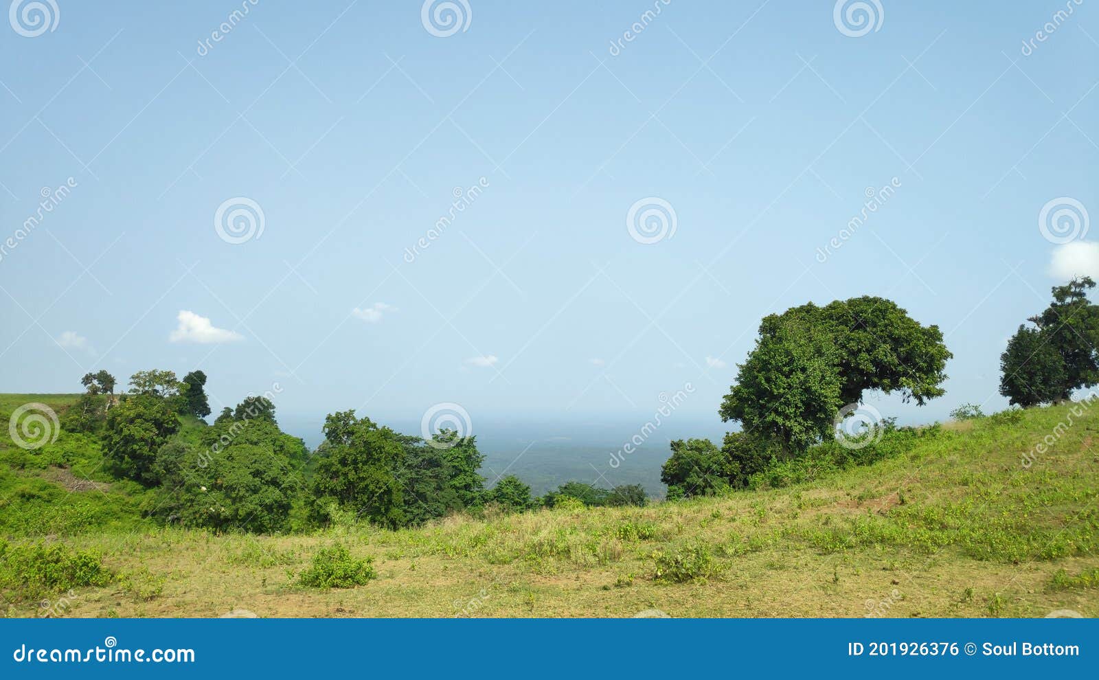 Greenery Mountain with Trees Stock Photo - Image of plateau, prairie ...