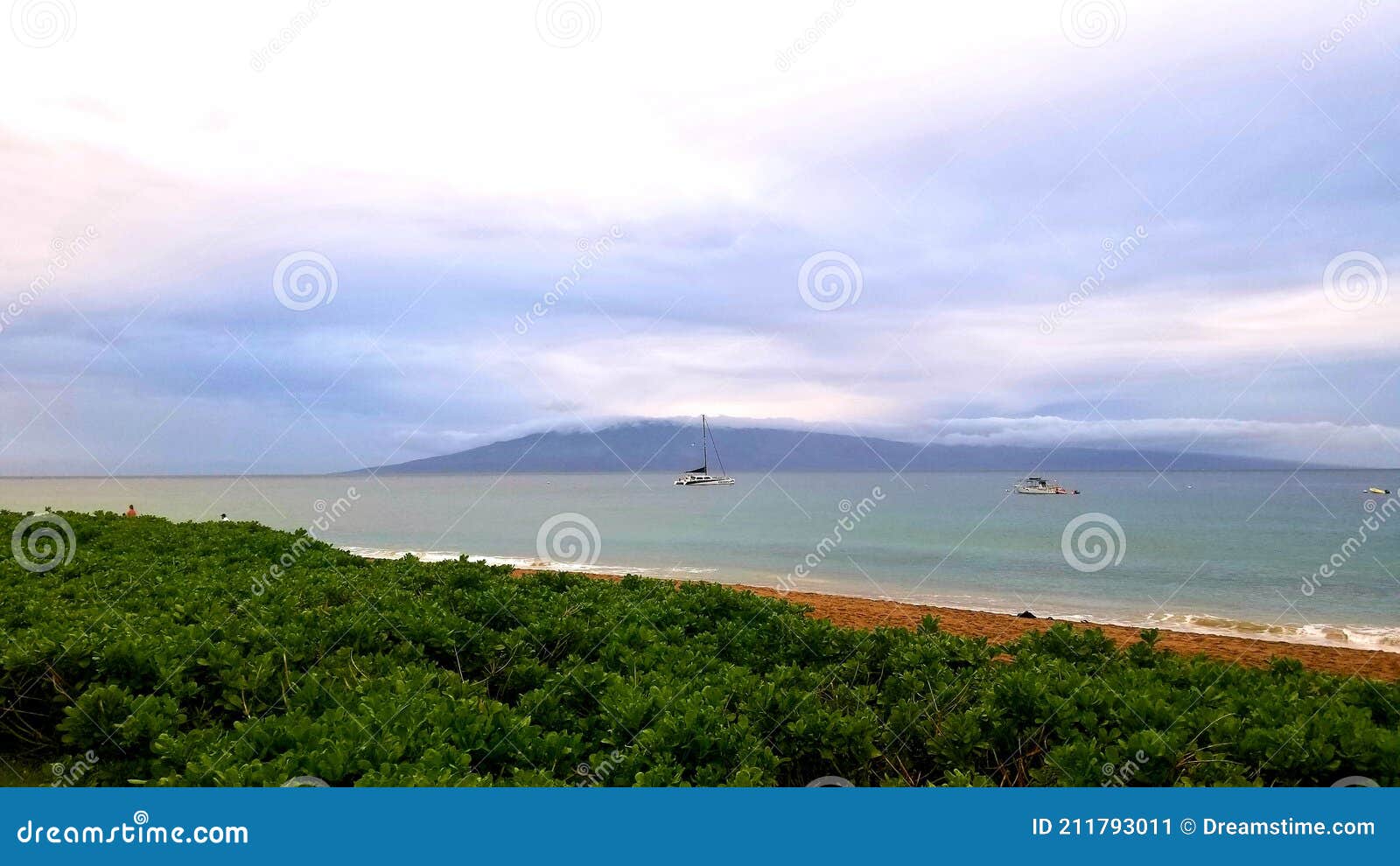 Greenery with ocean editorial photo. Image of terrain - 211793011