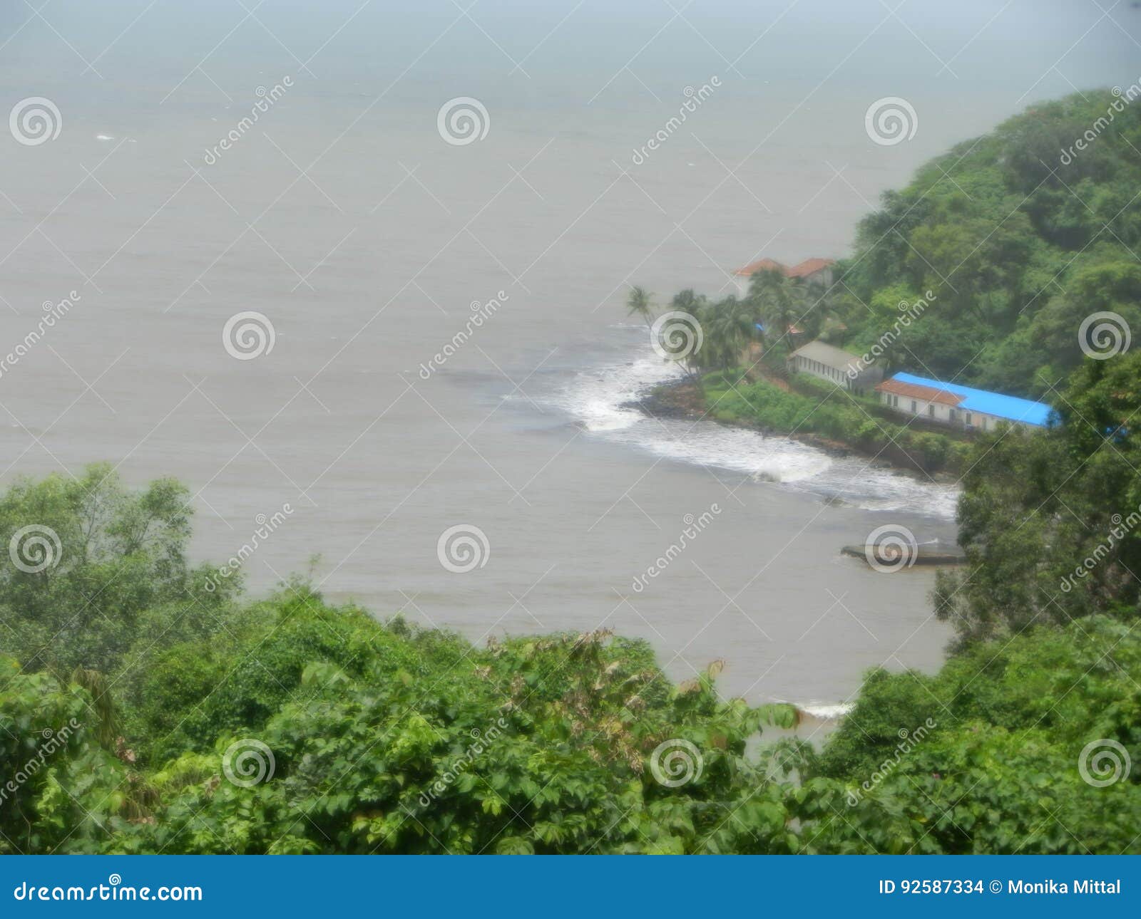 Greenery with ocean water stock photo. Image of power - 92587334