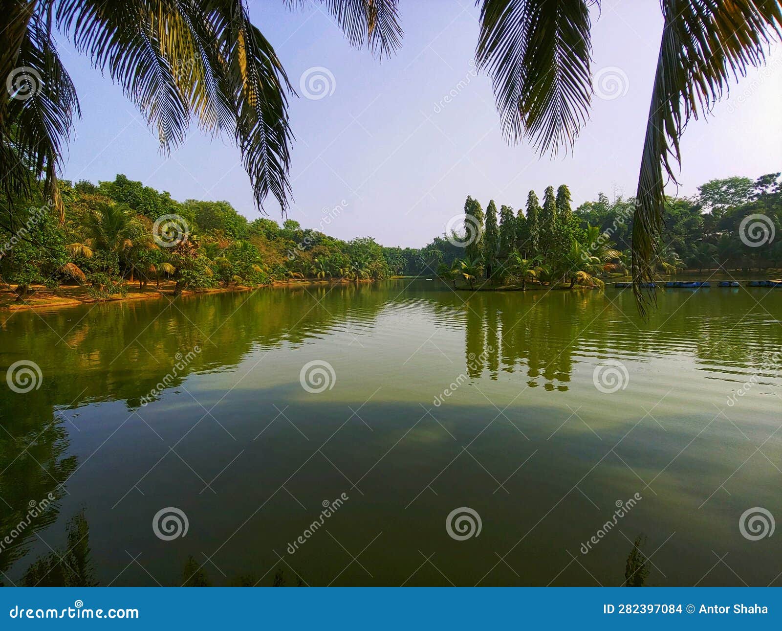 Greenery Scenario and Green Water Stock Photo - Image of water ...
