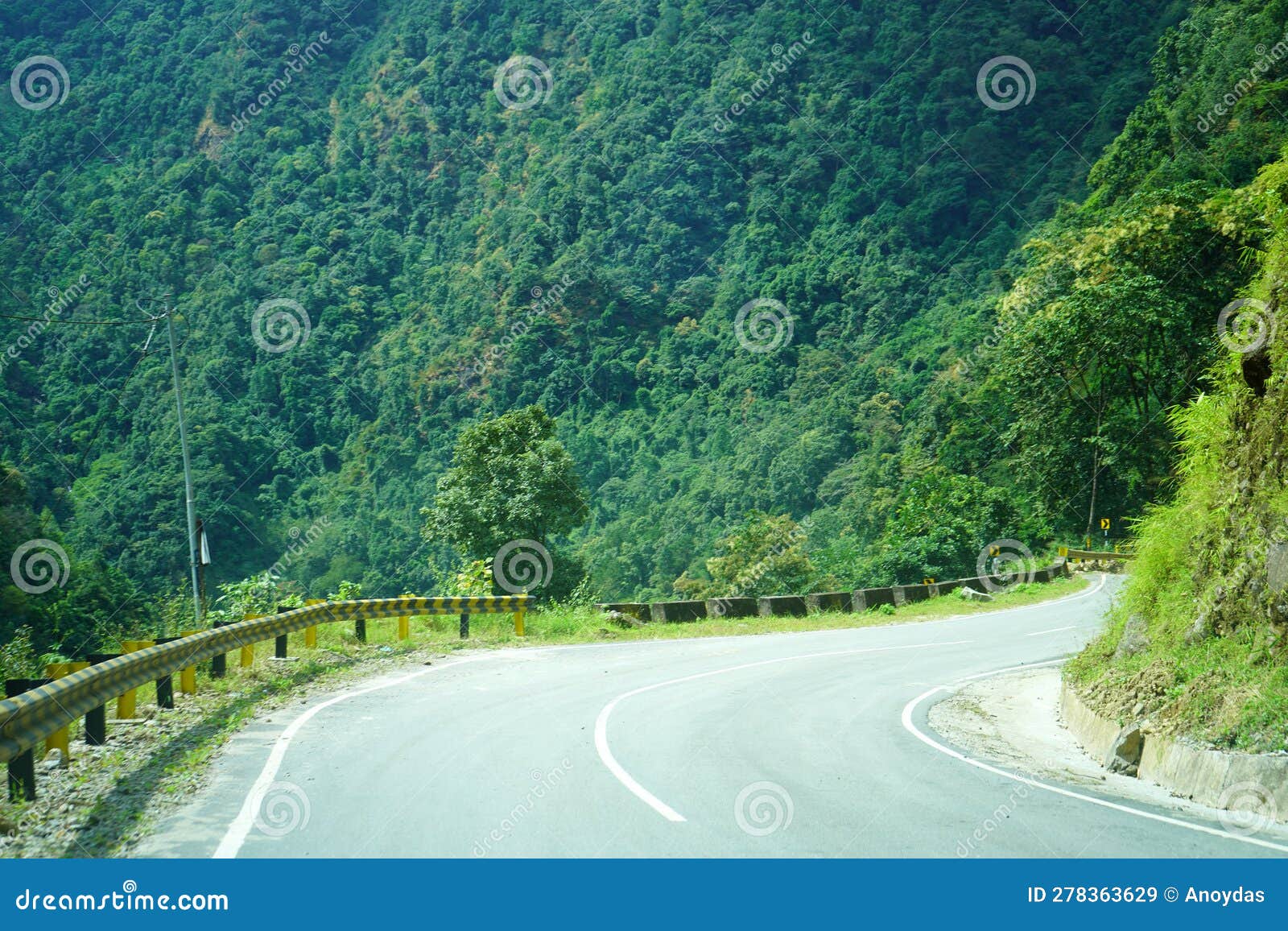 Greenery beside Road in Sikkim Stock Image - Image of green, beautiful ...