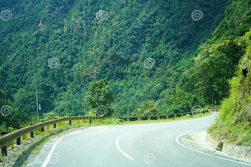 Greenery beside Road in Sikkim Stock Image - Image of green, beautiful ...