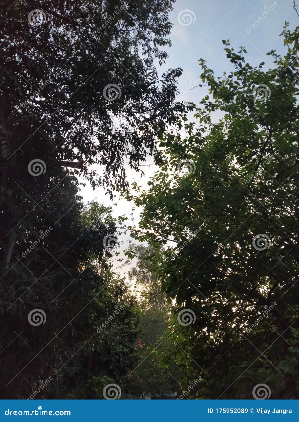 Greenery Sunset Looks Amazing Ho Wow Stock Image - Image of greenery ...