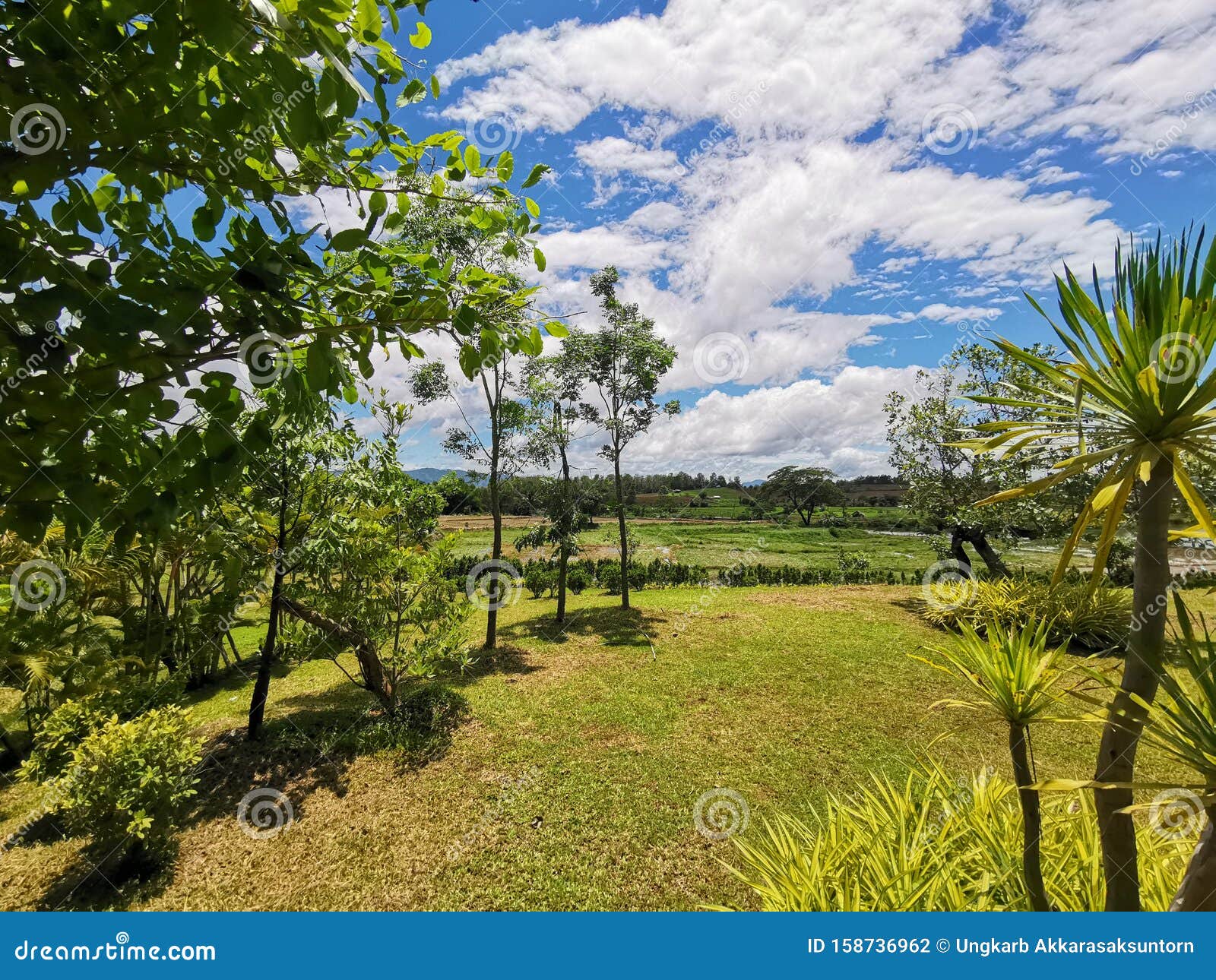 The Greenery View and Blue Sky InThailand Stock Photo - Image of ...
