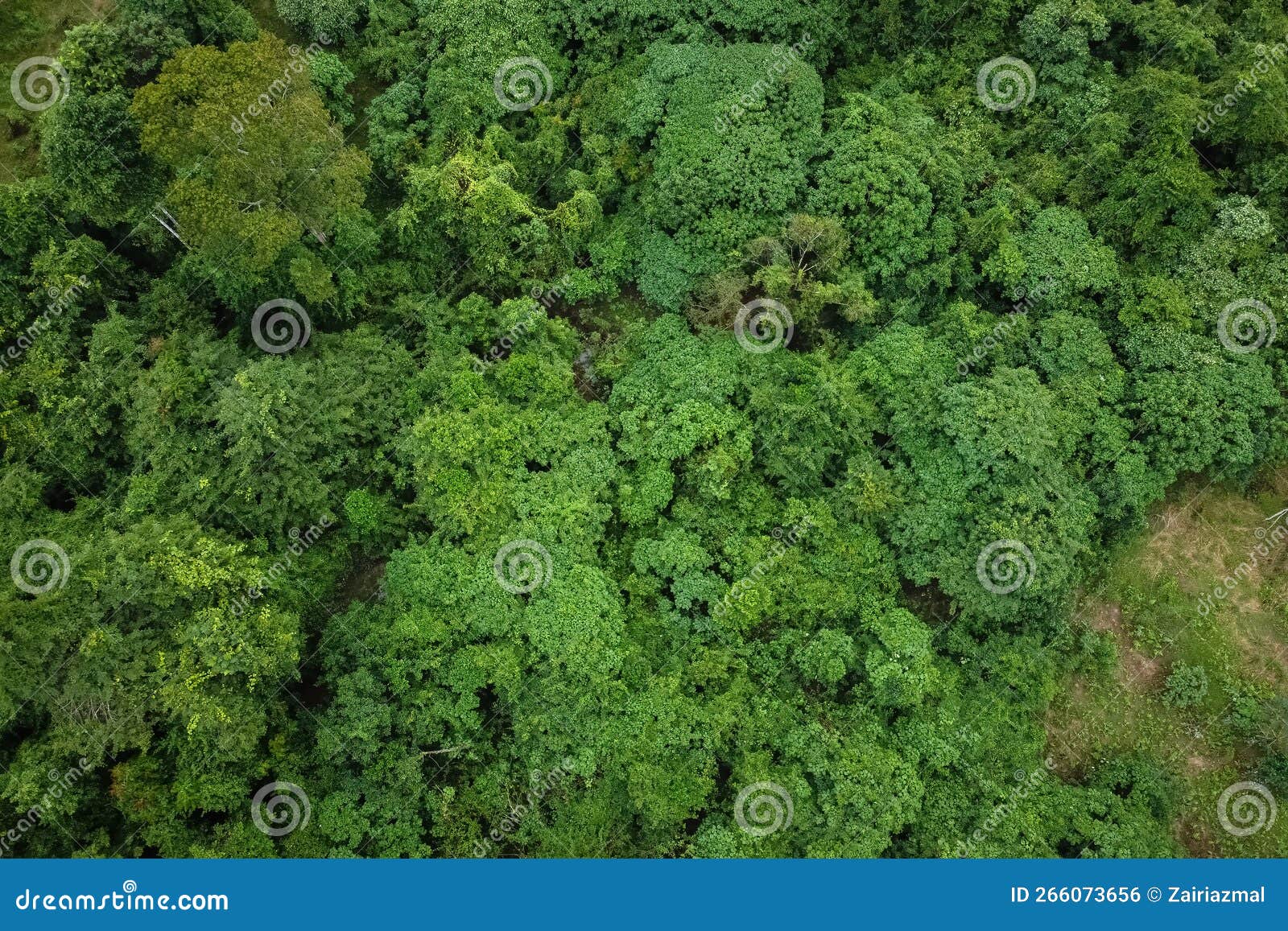 Greenery Villages At Malaysia Stock Photography | CartoonDealer.com ...