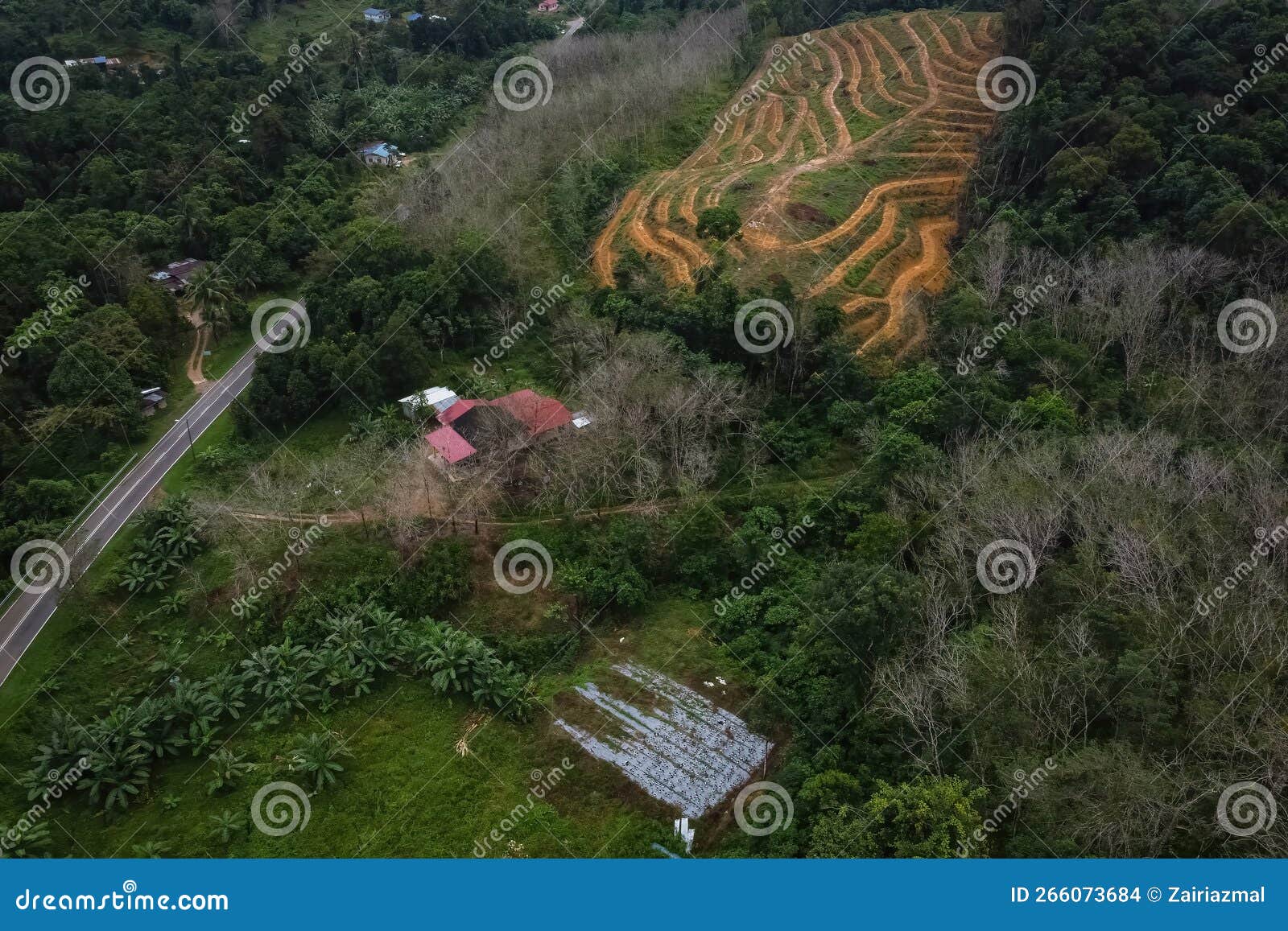 Greenery Villages at Malaysia Stock Photo - Image of nature, farming ...