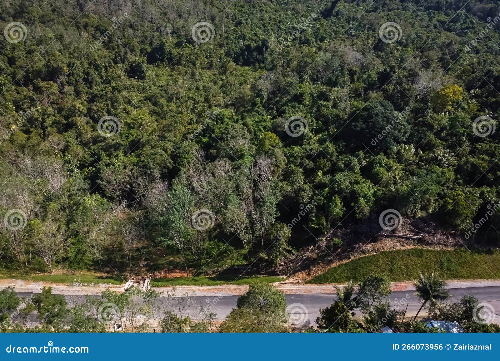 Greenery In Villages Of India Stock Photography | CartoonDealer.com ...