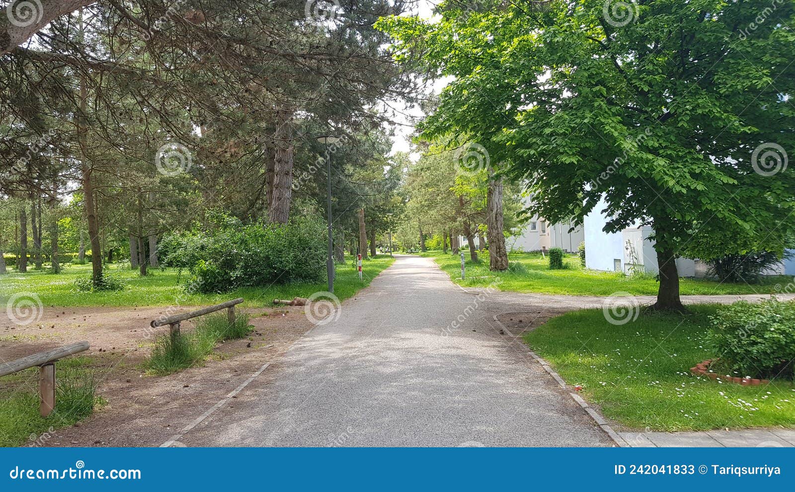 Greenfield, Summer Time, Greenery, Pathway Stock Image - Image of ...